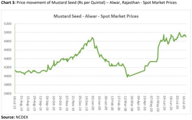 Commodity Outlook of mustard Seed I Agribazaar
