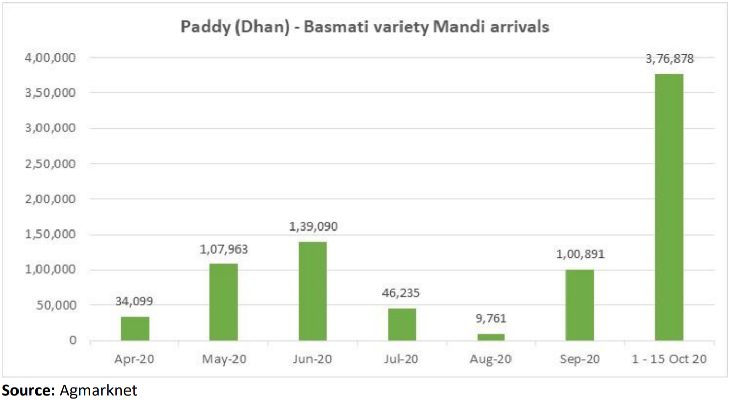 Commodity Outlook - Paddy | AgriBazaar