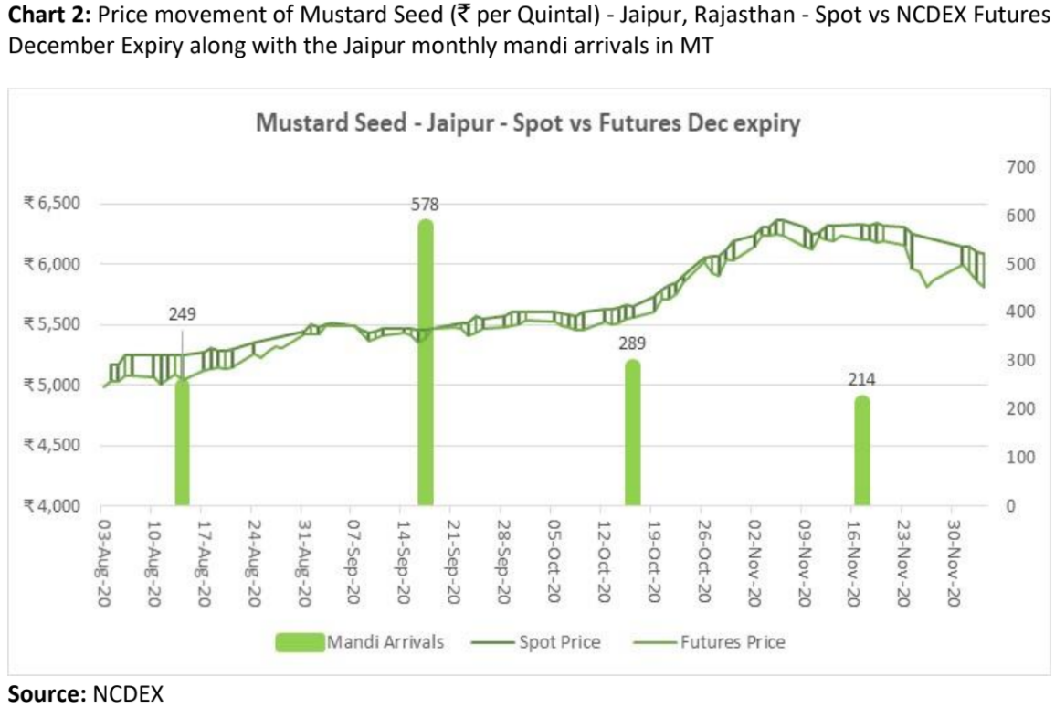 Commodity Outlook – Mustard Seed | AgriBazaar