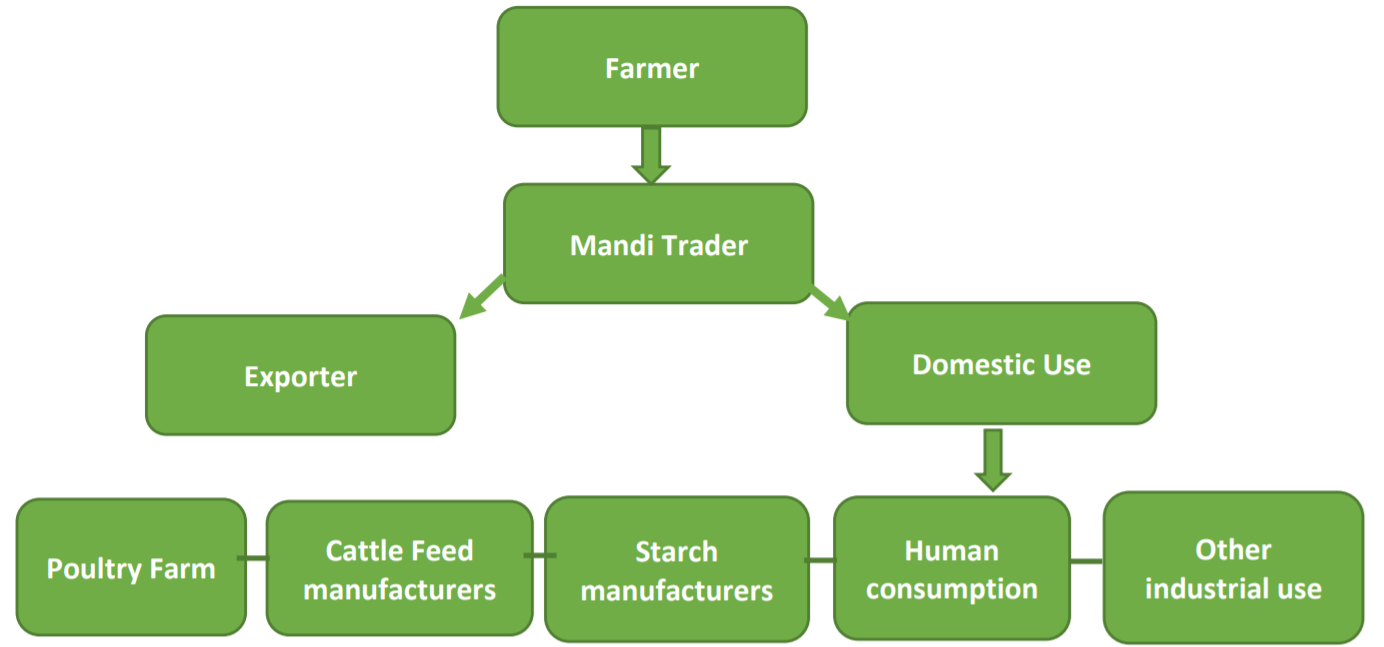 Commodity Outlook – Maize | AgriBazaar