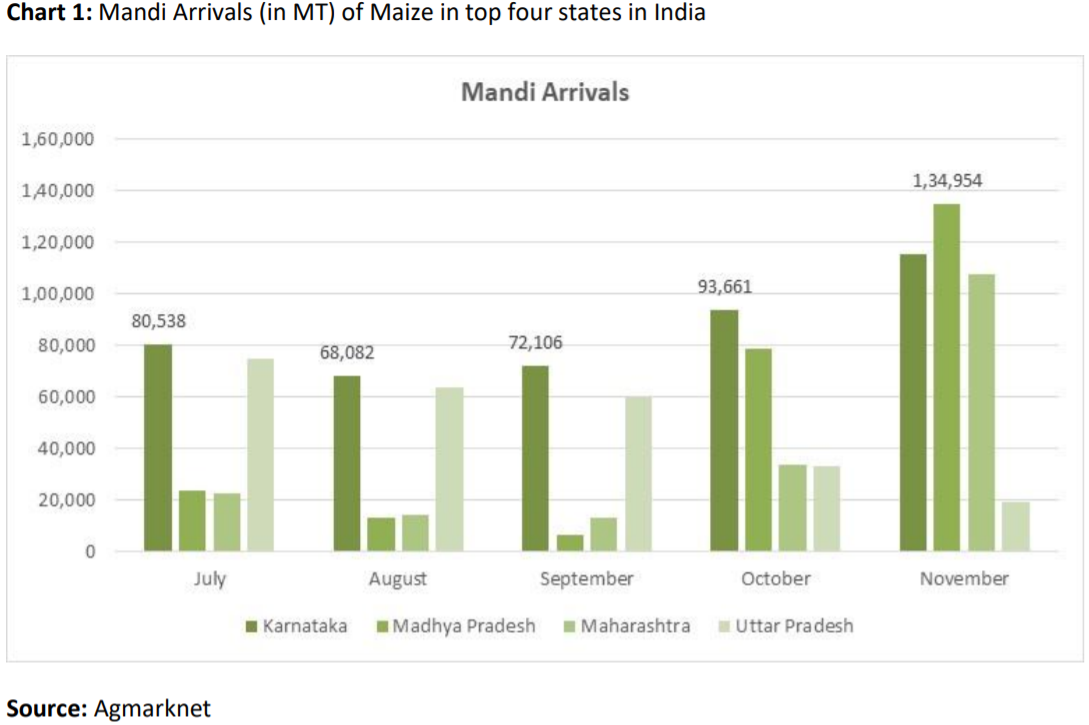 Commodity Outlook – Maize | AgriBazaar