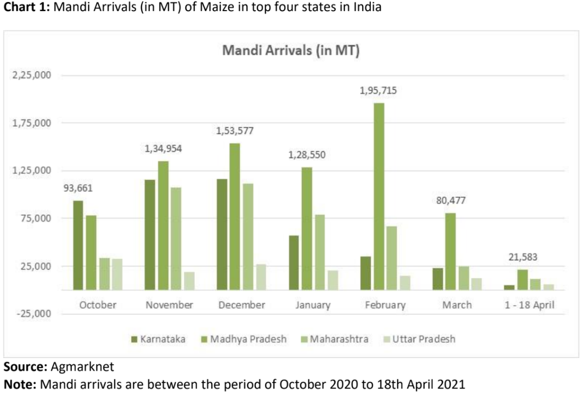 Commodity Outlook – Maize | AgriBazaar