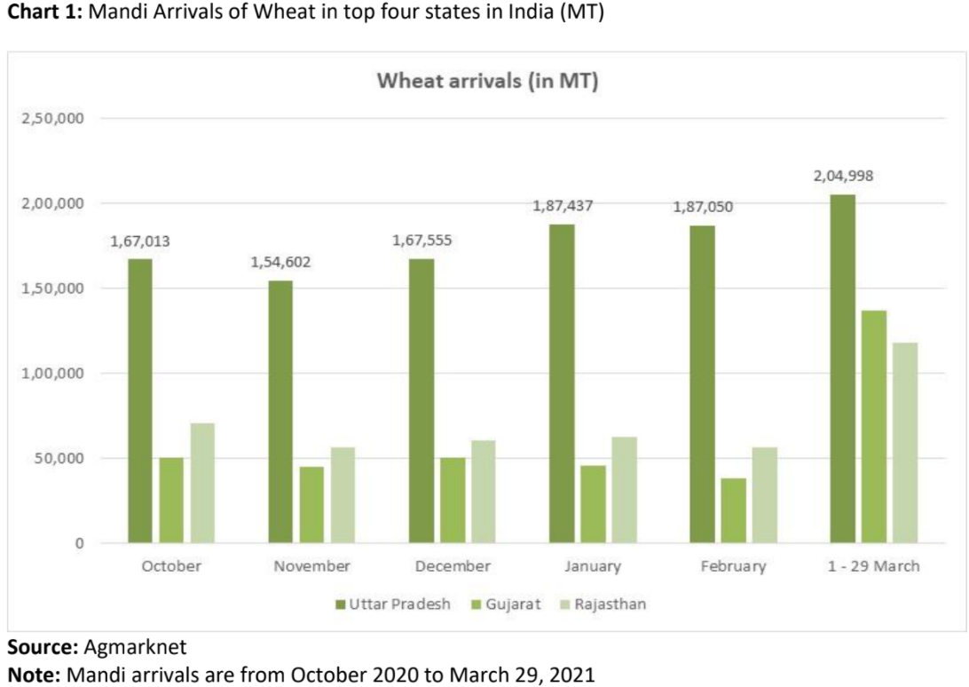 Commodity Outlook – Wheat | AgriBazaar
