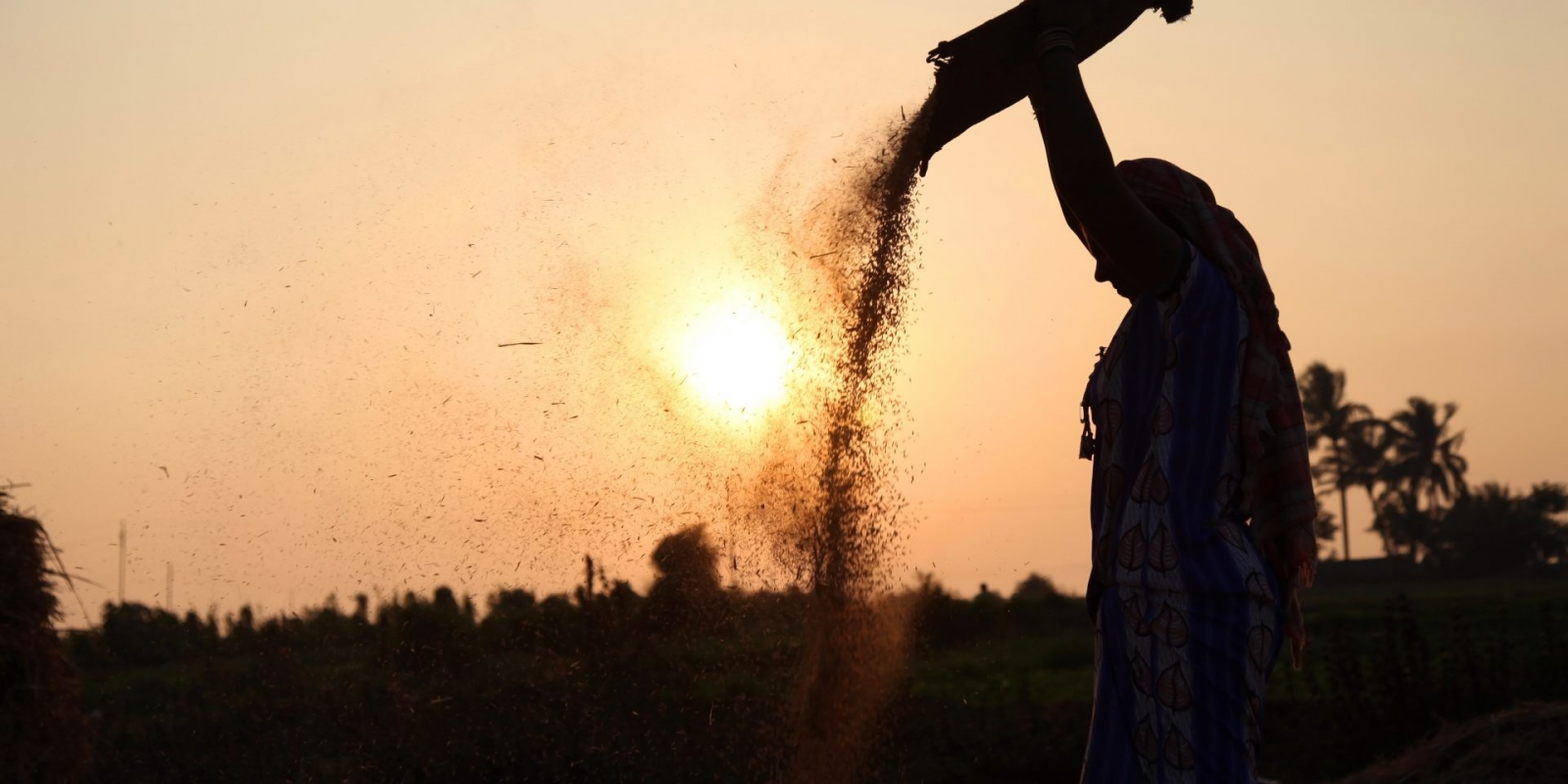 E Mandi Taking Mandis In India Online Agribazaar E Mandi Taking Mandis In India Online Agribazaar