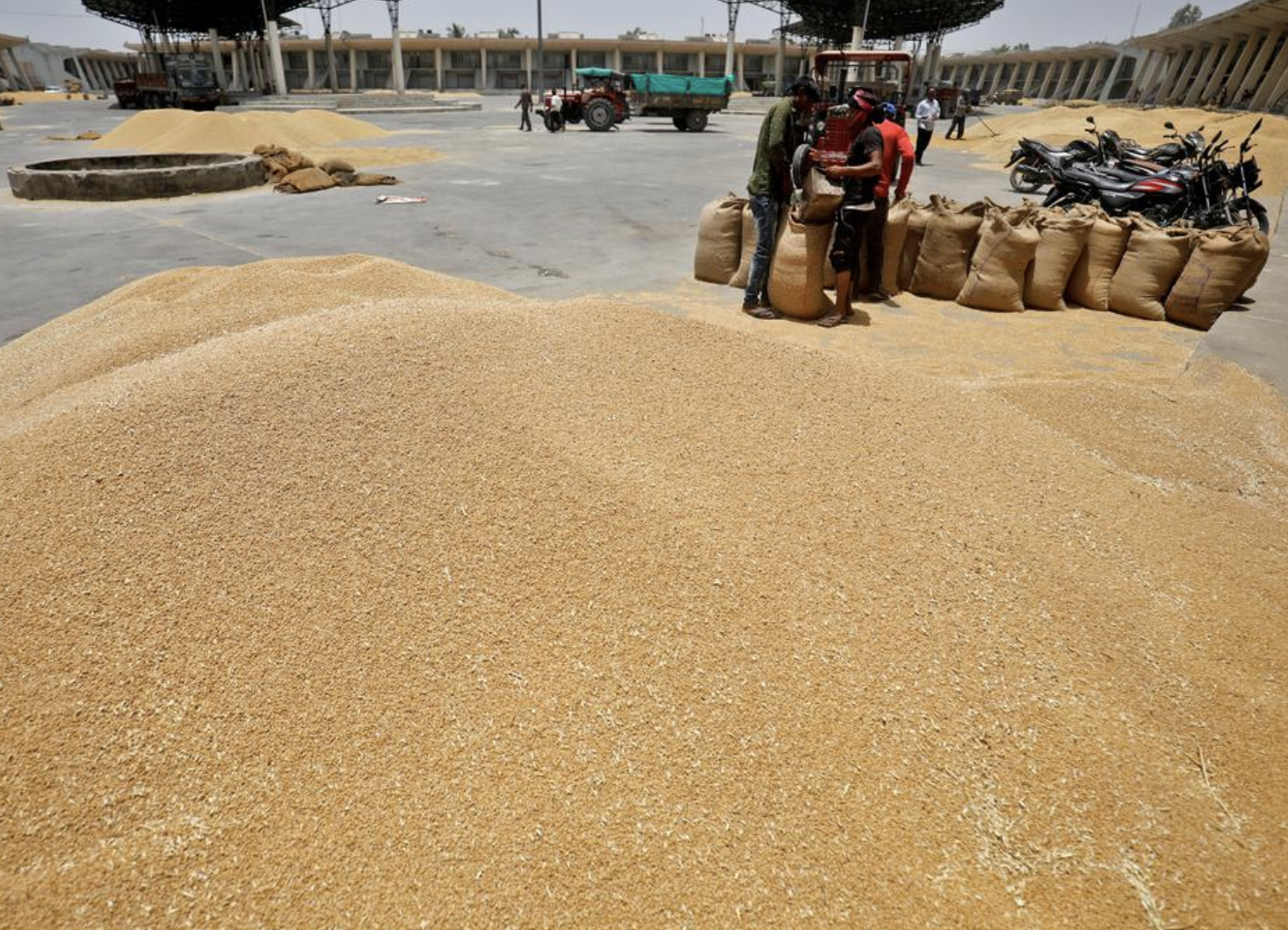 Agri Commodities to Watch in 2025: A Trader’s Perspective! | AgriBazaar