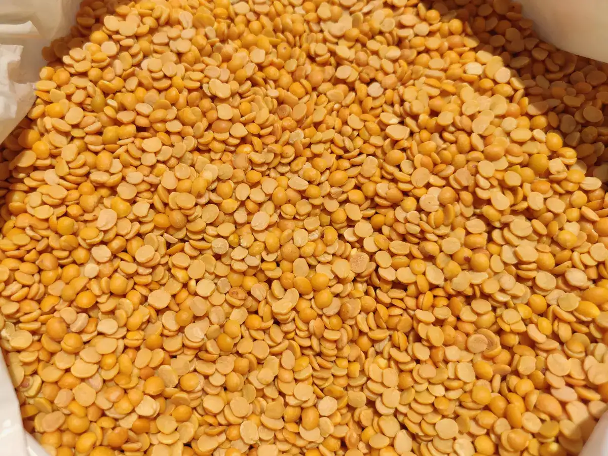 Monthly Commodity Insights: Tur (Whole) | AgriBazaar